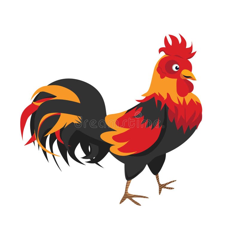 Happy Full Color Rooster Crowing Stock Vector - Illustration of drawing ...