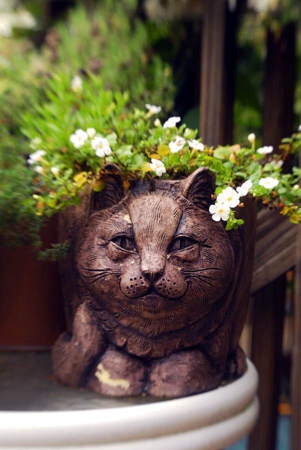 Happy Garden Cat Picture. Image: 1277261