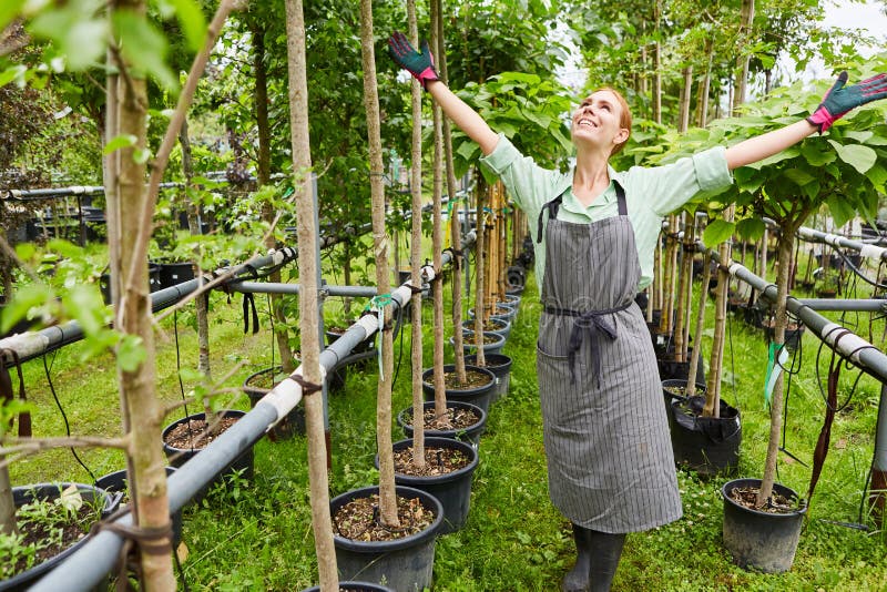 Happy Gardener Holding Ripe Tomatoes in His Garden Stock Photo - Image ...