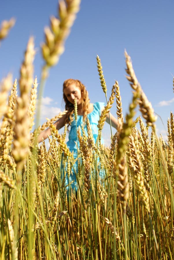 The Happy Girl in the Field Stock Photo - Image of brightly, growth ...