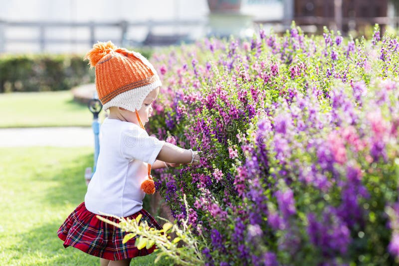 Happy Girl Watching the Flower Garden Stock Image - Image of summer ...