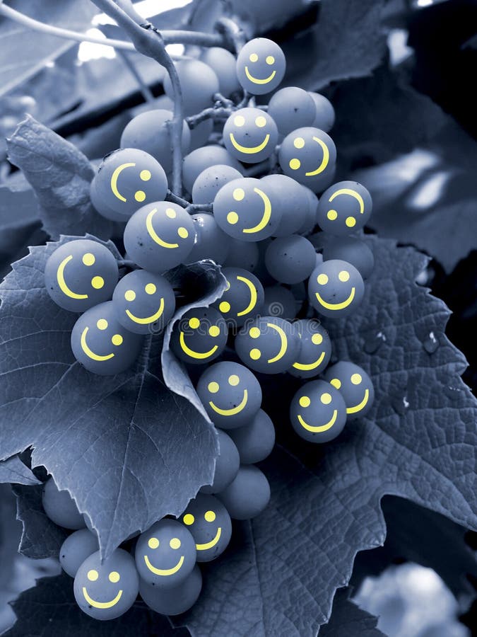 Funny Bunch Grapes Smiling Stock Photos - Free & Royalty-Free Stock ...