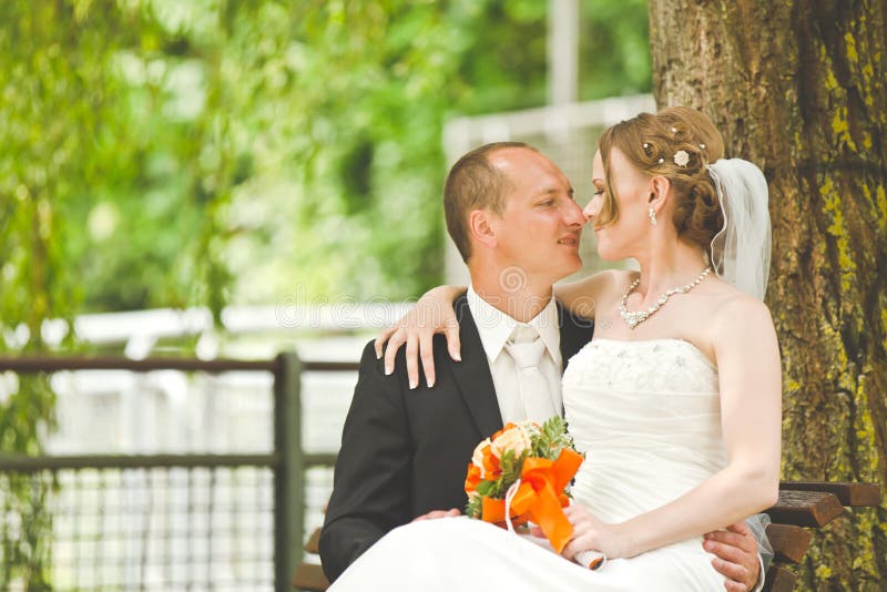 Happy Groom and Bride Look at Each Other Stock Photo - Image of glamour ...