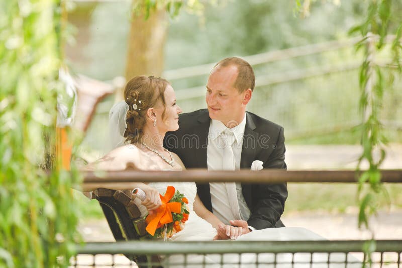 Happy Groom and Bride Look at Each Other Stock Photo - Image of glamour ...