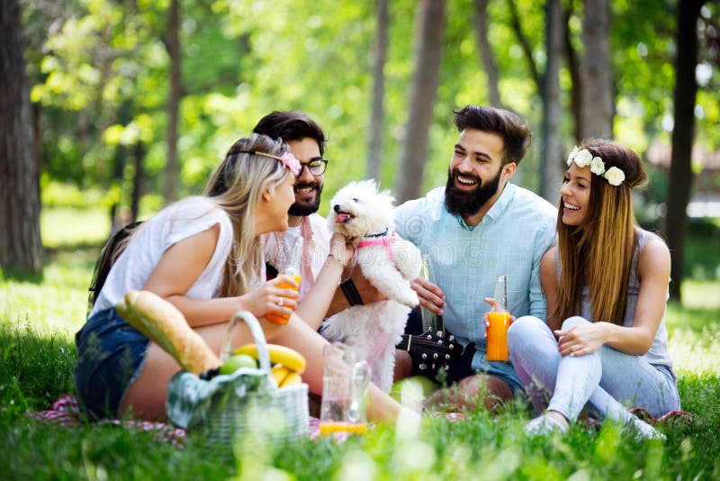 Happy Group of Friends Relaxing and Having Fun on Picnic in Nature ... Happy Group of Friends Relaxing and Having Fun on Picnic in Nature ...