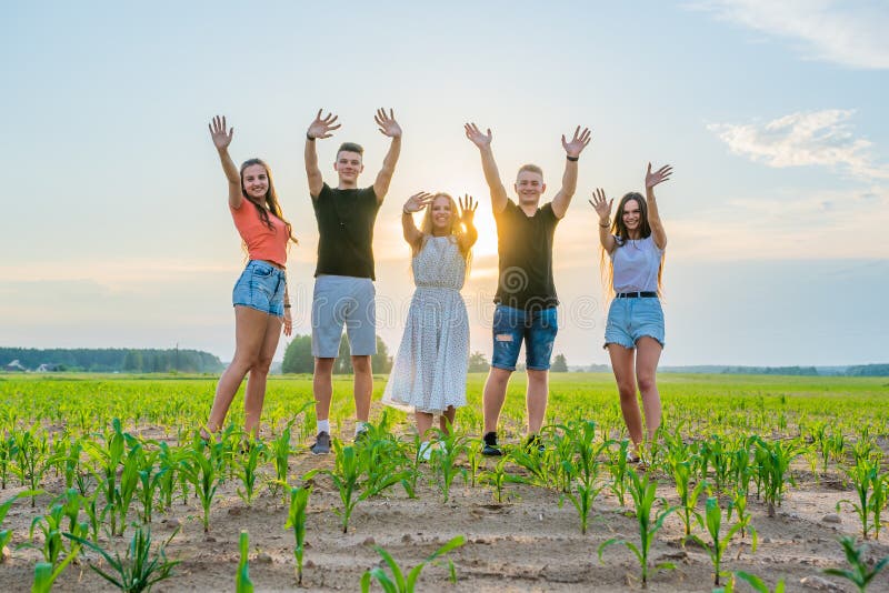 Happy Group of Friends at Sunset in the Field. Stock Photo - Image of ...