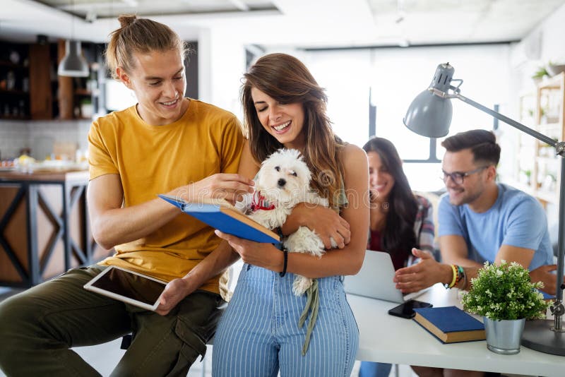 Happy Group of Young Students Studying Together Stock Image - Image of ... Happy Group of Young Students Studying Together Stock Image - Image of ...