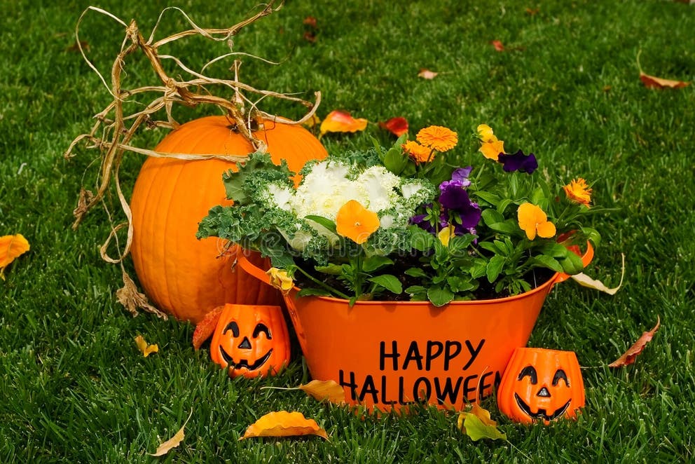Happy Halloween stock photo. Image of fall, cornucopia - 1322048