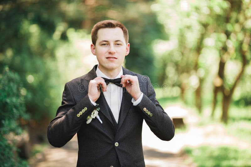 Happy Handsome Smiling Groom Posing with Boutonniere Stock Image ...
