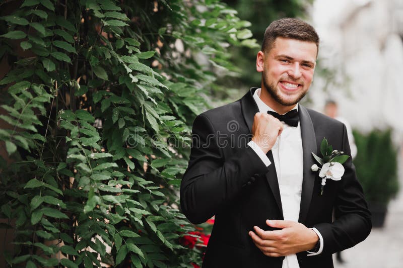 Happy Handsome Smiling Groom Posing with Boutonniere Stock Image ...