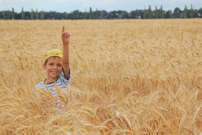 141,201 Happy Harvest Sewa Stock Photos - Free & Royalty-Free Stock ...