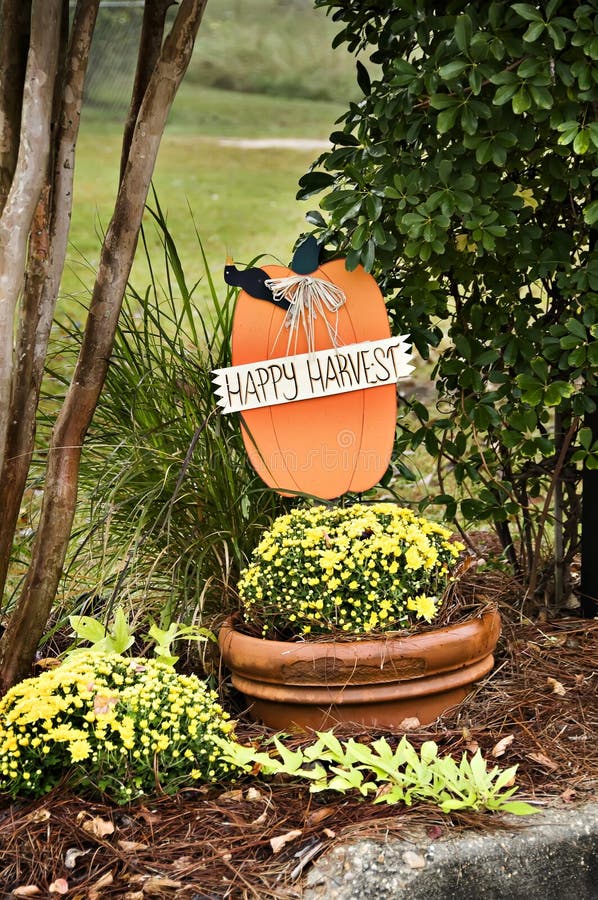 Happy Harvest stock photo. Image of autumn, chrysanthemums - 6798974