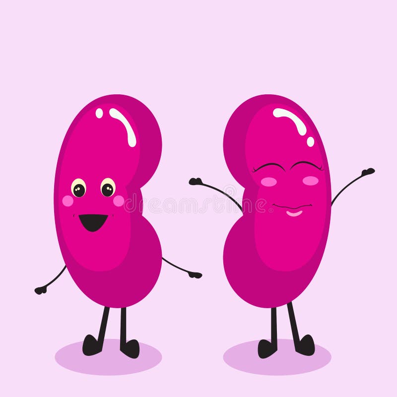 Kidneys Purple Stock Illustrations – 65 Kidneys Purple Stock ...
