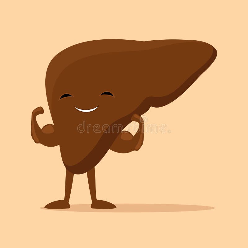 Happy healthy liver. stock vector. Illustration of decoration - 100412070