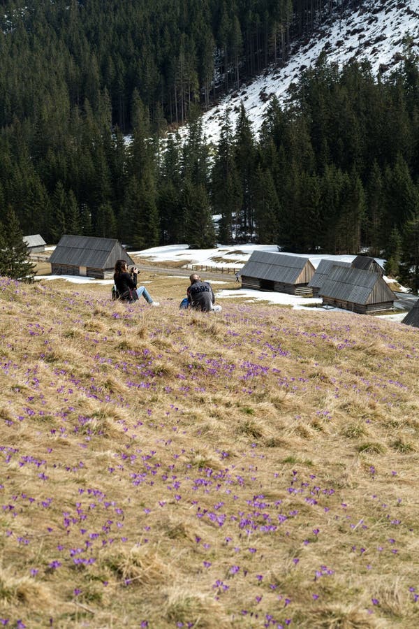 Happy Hiking Couple Taking a Break on Mountain Trail Stock Photo ...
