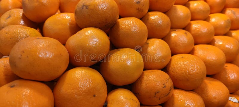 Happy Holiday with Fresh Orange Stock Image - Image of holiday, happy ...