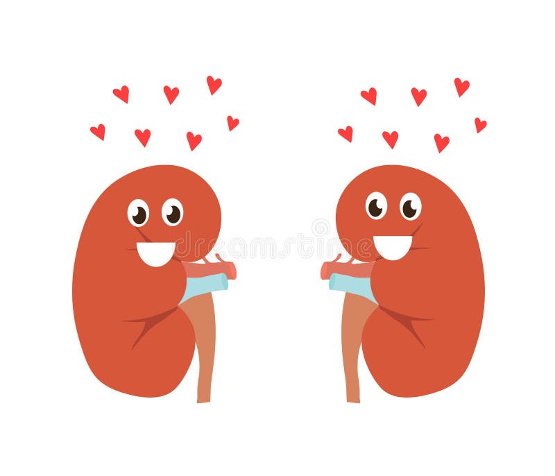 Happy Kidneys Stock Illustrations – 433 Happy Kidneys Stock ...