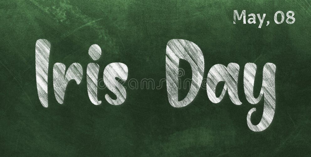 Happy Iris Day, May 08. Calendar of May Chalk Text Effect, Design Stock ...