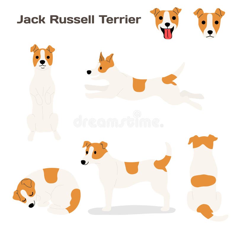 Happy Jack Russell Terrier Cartoon Illustration Stock Vector ...