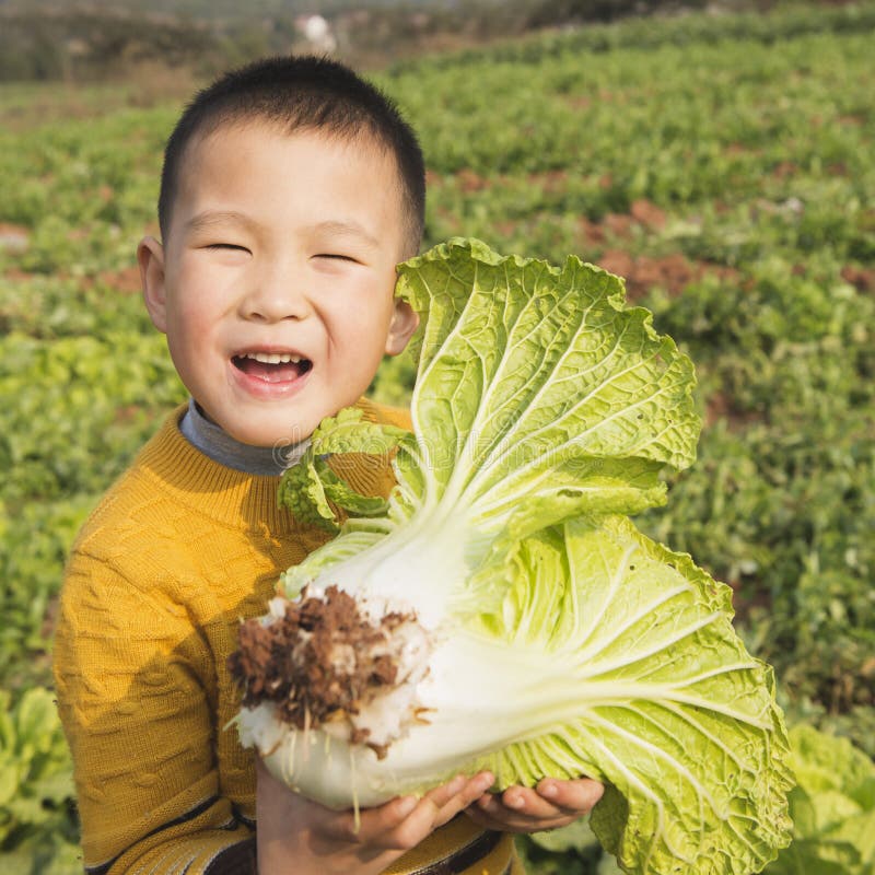 Happy kid with cabbage stock photo. Image of happy, farmer - 66616608