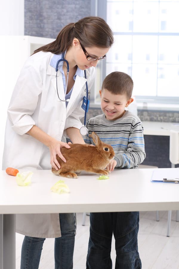 Young Veterinary with Cute Patient Stock Photo - Image of doctors, care ...