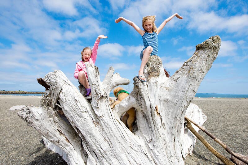Happy Kids at the Beach stock photo. Image of child, climbing - 20593516
