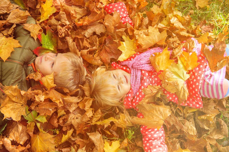 Happy Kids Having Fun in Autumn Fall Leaves Stock Image - Image of ...