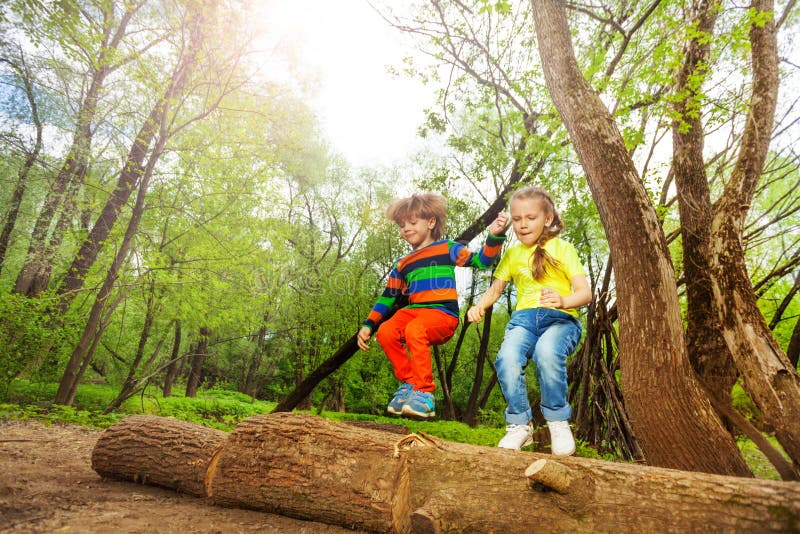 59,592 Old Log Forest Stock Photos - Free & Royalty-Free Stock Photos ...