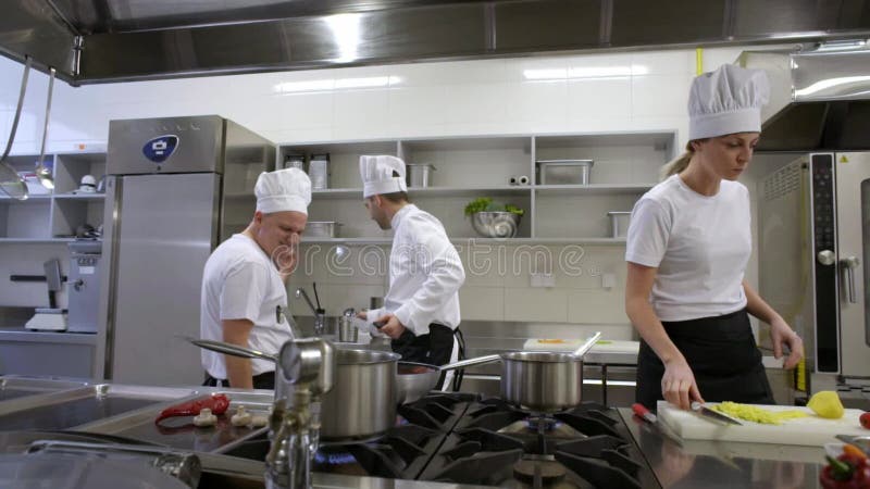 Happy Kitchen Crew with Chef Singing and Dancing while Cooking Stock ...