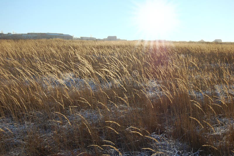 Happy landscape stock photo. Image of indigo, idyllic - 7565606