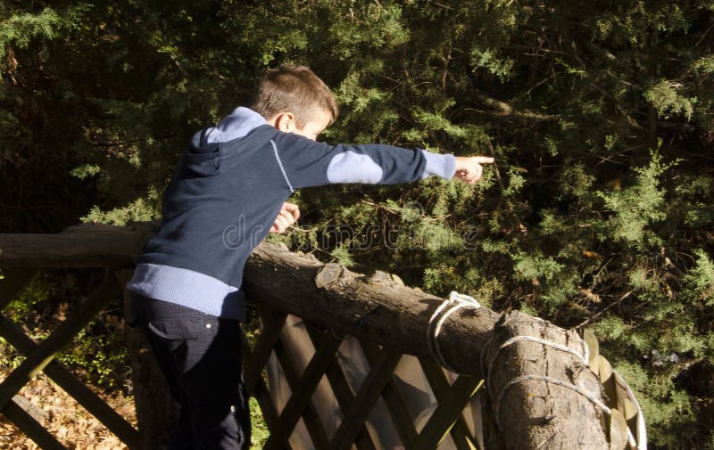 Happy Little Boy Enjoy To Play in Forest . Stock Image - Image of ...