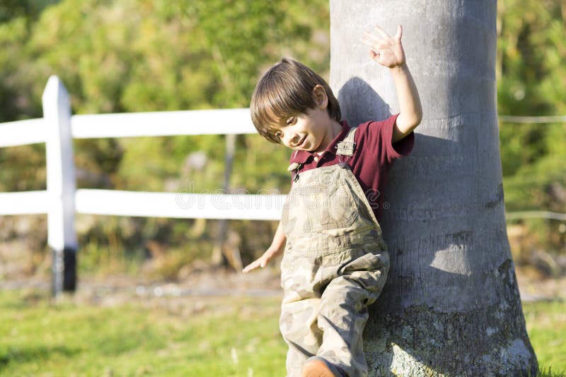 Happy Little Boy Playing a Tree Stock Photo - Image of environment ...