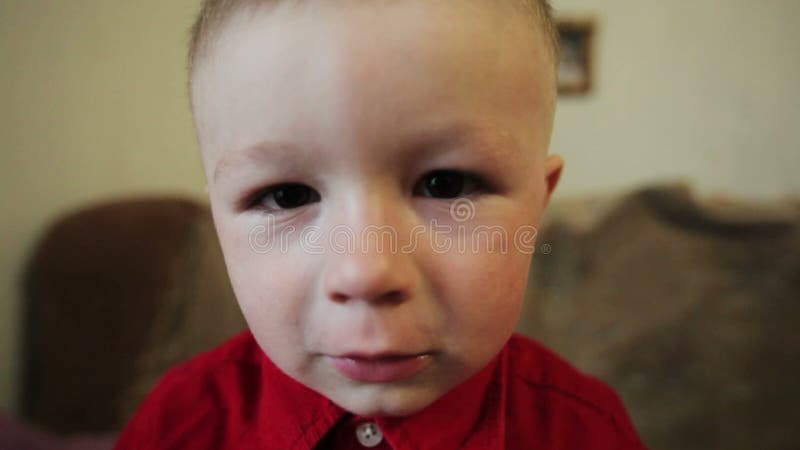 Happy Little Boy in a Red Shirt Stock Video - Video of three, handsome ...