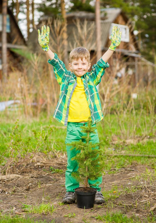 Happy Little Boy with Tree Seedling Stock Photo - Image of environment ...