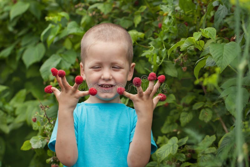 Happy Little Child with Raspberry Outdoors Stock Image - Image of food ...