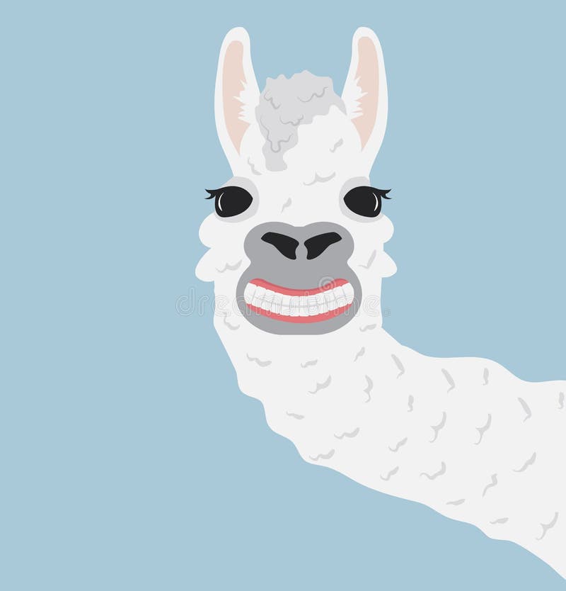 Happy Llama Smile Vector Illustration Stock Vector - Illustration of ...