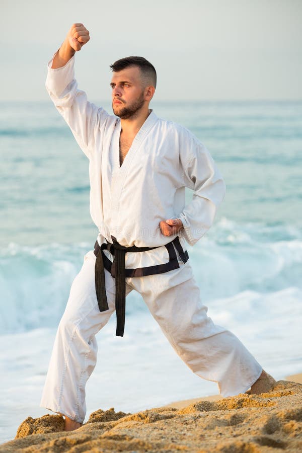 Happy Male Practising Karate Kata Poses Stock Image - Image of japanese ...