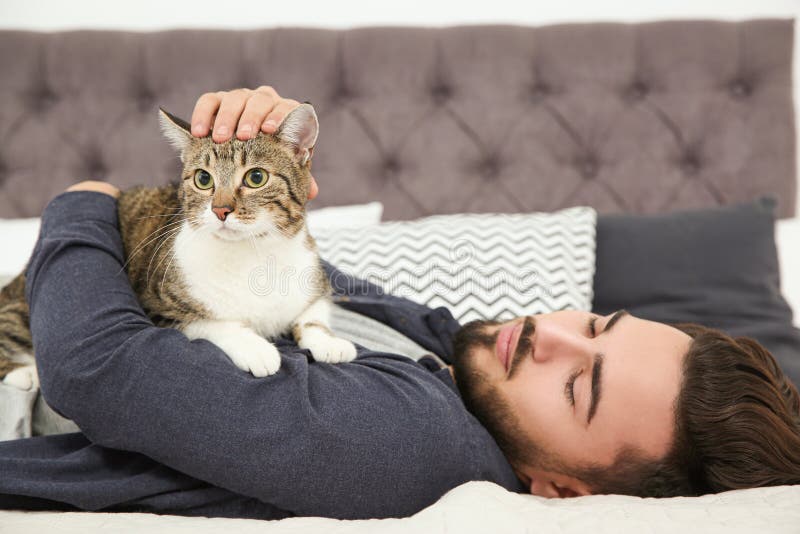 Happy Man with Cat on Bed. Friendly Pet Stock Photo - Image of healthy ...