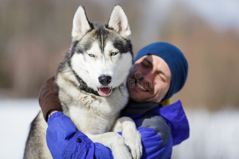 Happy man with a husky stock photo. Image of canine, adorable - 48972504