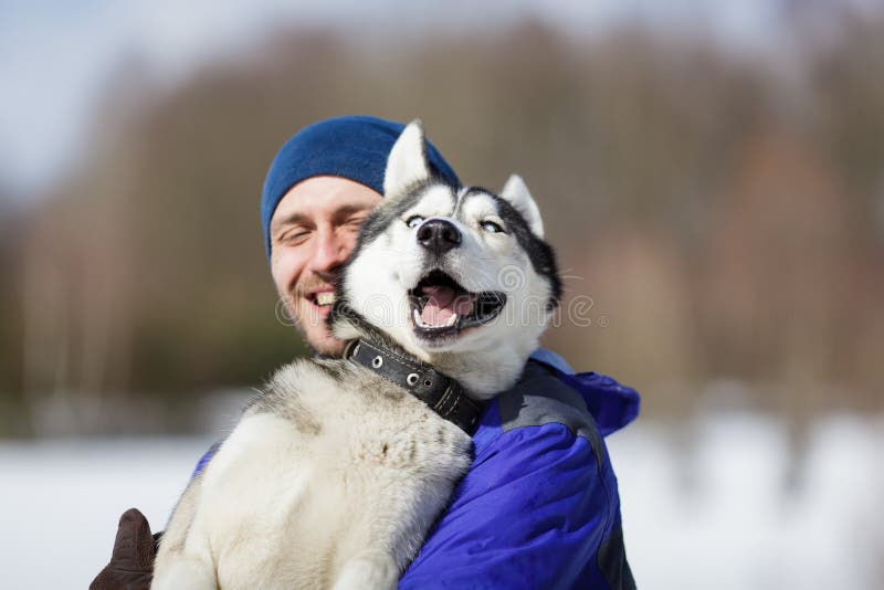 Happy man with a husky stock photo. Image of beautiful - 48972560