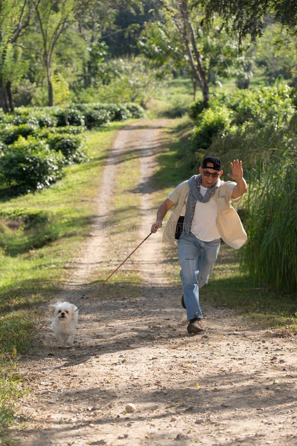 Happy man jogging with dog stock image. Image of garden - 70551653