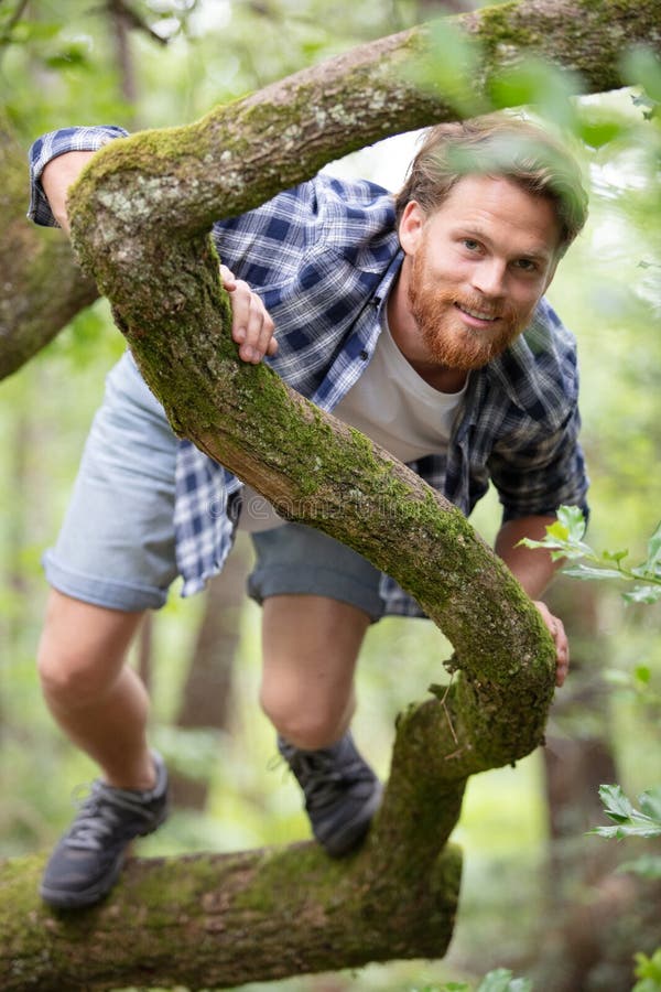 Happy Man Leaning Against Tree Stock Image - Image of care, green ...