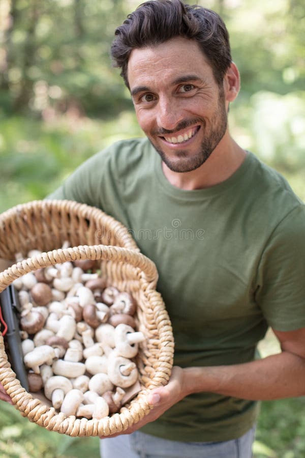 Happy Man Picking Mushrooms in Forest Stock Image - Image of collecting ...