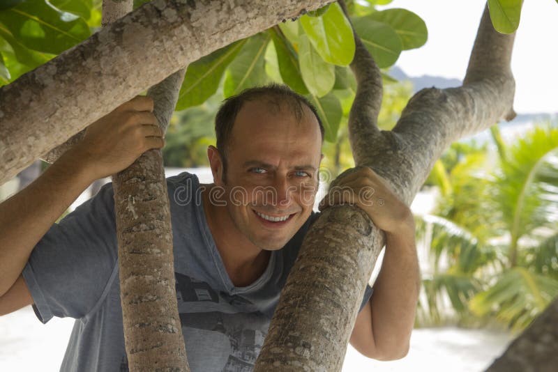 Happy man in a tree stock photo. Image of casual, healthy - 27639410