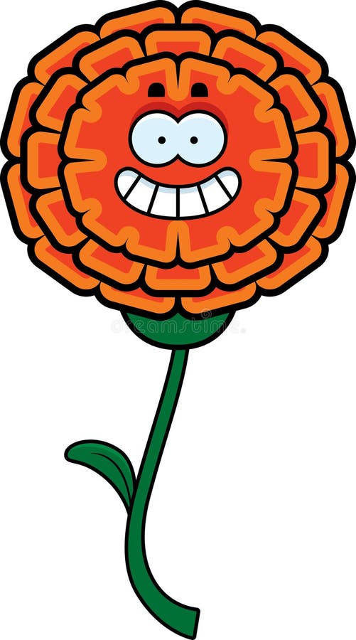 Happy Marigold stock vector. Illustration of smile, flower - 47754541
