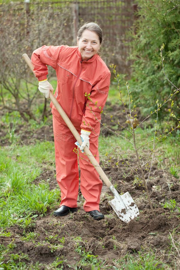 806 Planting Mature Tree Stock Photos - Free & Royalty-Free Stock ...