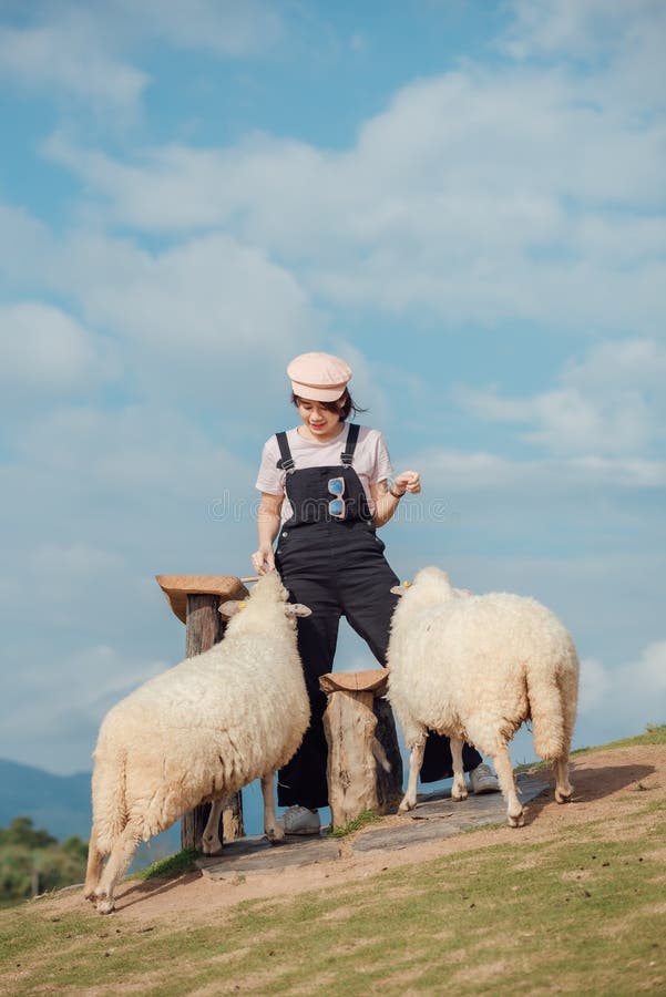 A Happy Moment of a Female Farmer and Her Sheep Stock Photo - Image of ...