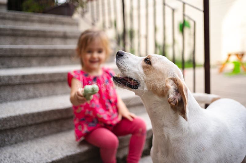 Happy Moments Shared between a Child and a Playful Dog Outdoors Stock ...