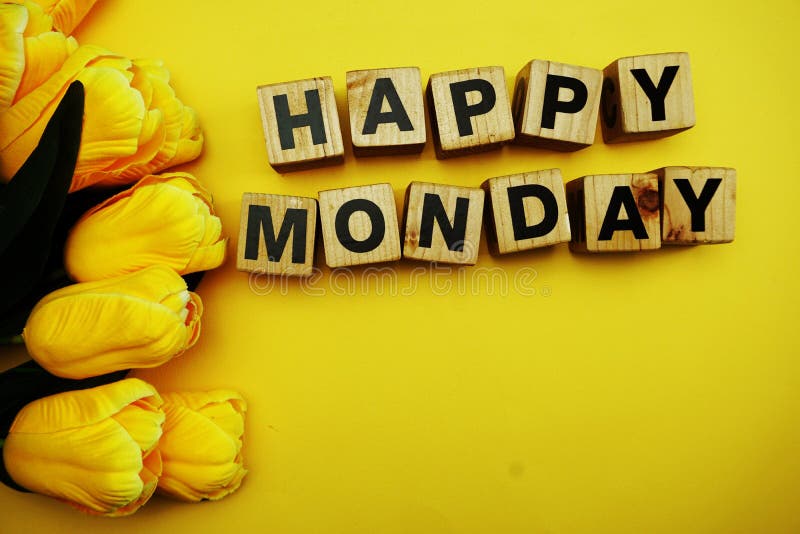 Happy Monday with Yellow Tulip Flower on Yellow Background Stock Photo ...