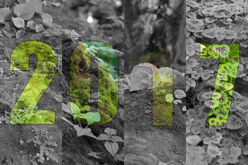 Happy New Year 2017 in Plant Theme Stock Photo - Image of calendar ...